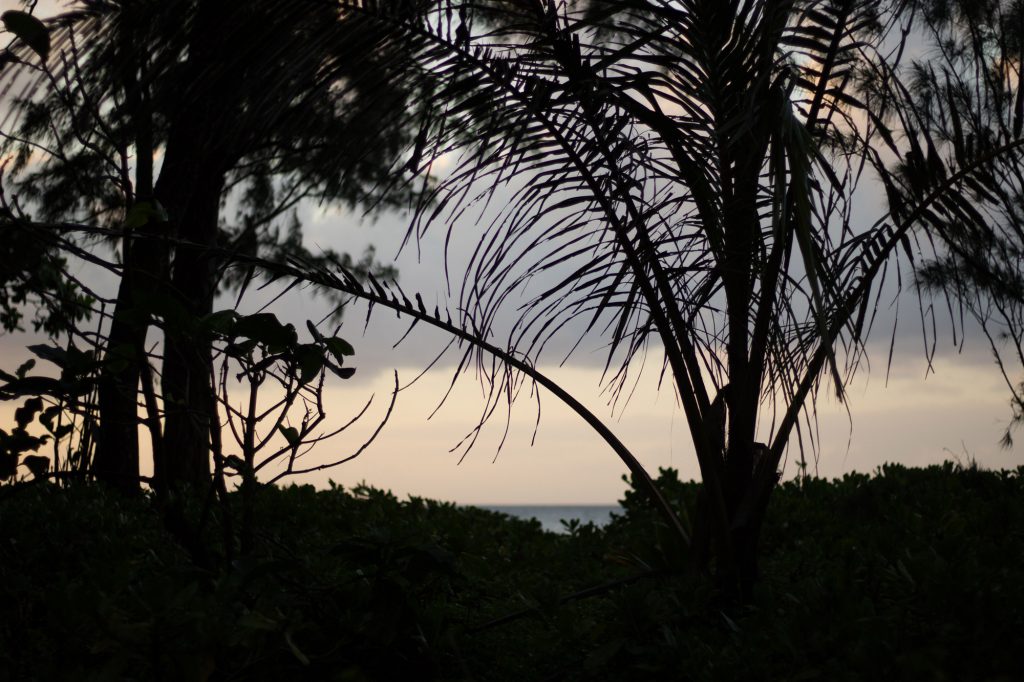 The Big Island: Everything You Need to Know to Hike to Waimanu Valley