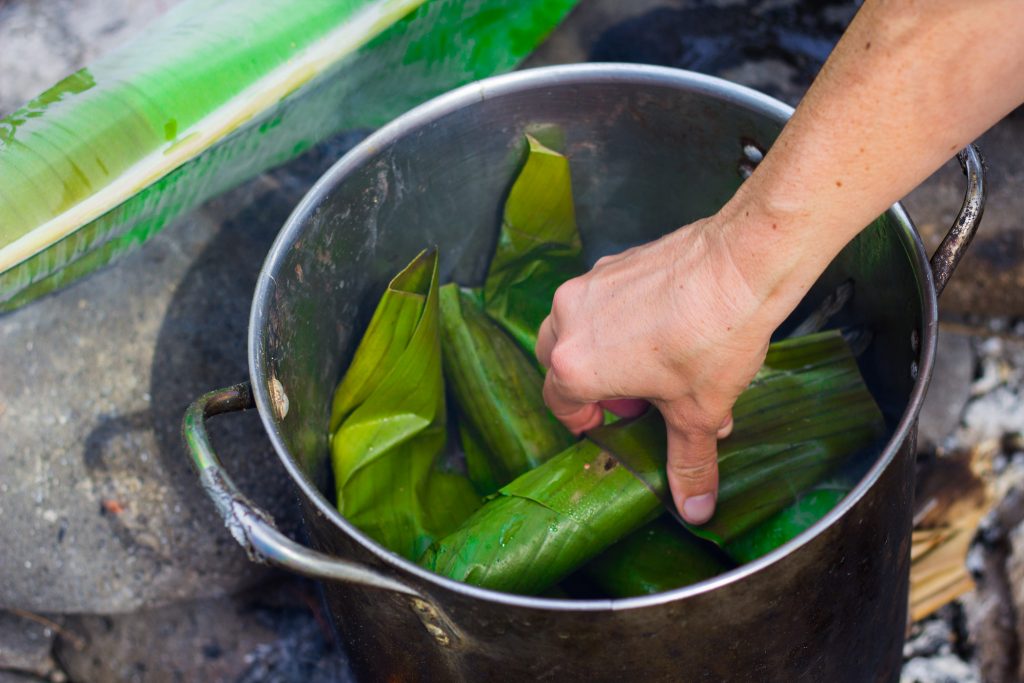The Big Island: Everything You Need to Know to Hike to Waimanu Valley